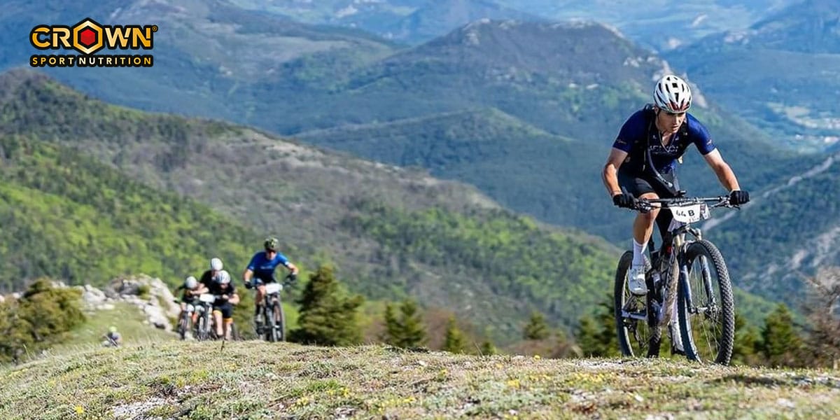 PUNTOS CLAVE EN EL USO DE RECOVERY PARA PROMOVER UNA ÓPTIMA ...